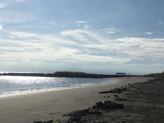 Lote en venta en playa el rompío los santos - P110418 | InmoPanama