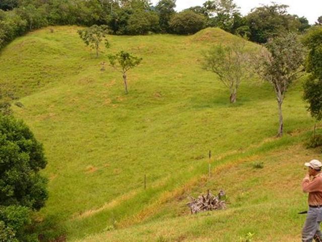 Vendo 138 hectáreas en toabré, penonomé - P110893 | InmoPanama