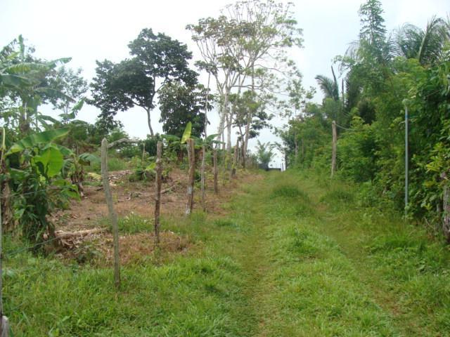 Se vende terreno en la comunidad de toabre, penonome - P113919 | InmoPanama