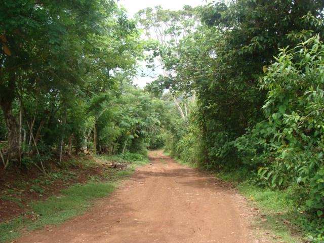 Se vende terreno en la comunidad de toabre, penonome - P113919 | InmoPanama