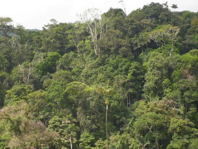 Se vende terreno en chepigana, darien - P114337 | InmoPanama