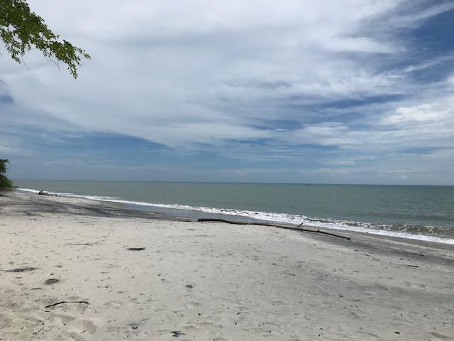 Beachfront lot in juan hombron - P122942 | InmoPanama