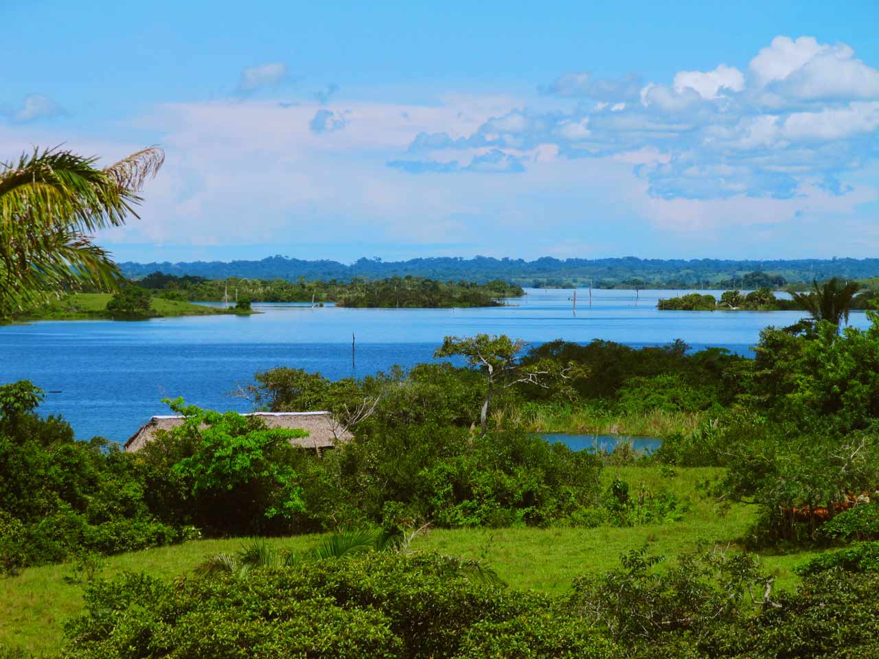 Lotes en el lago gatun desde $69,000 arenosa panama - P13090 | InmoPanama